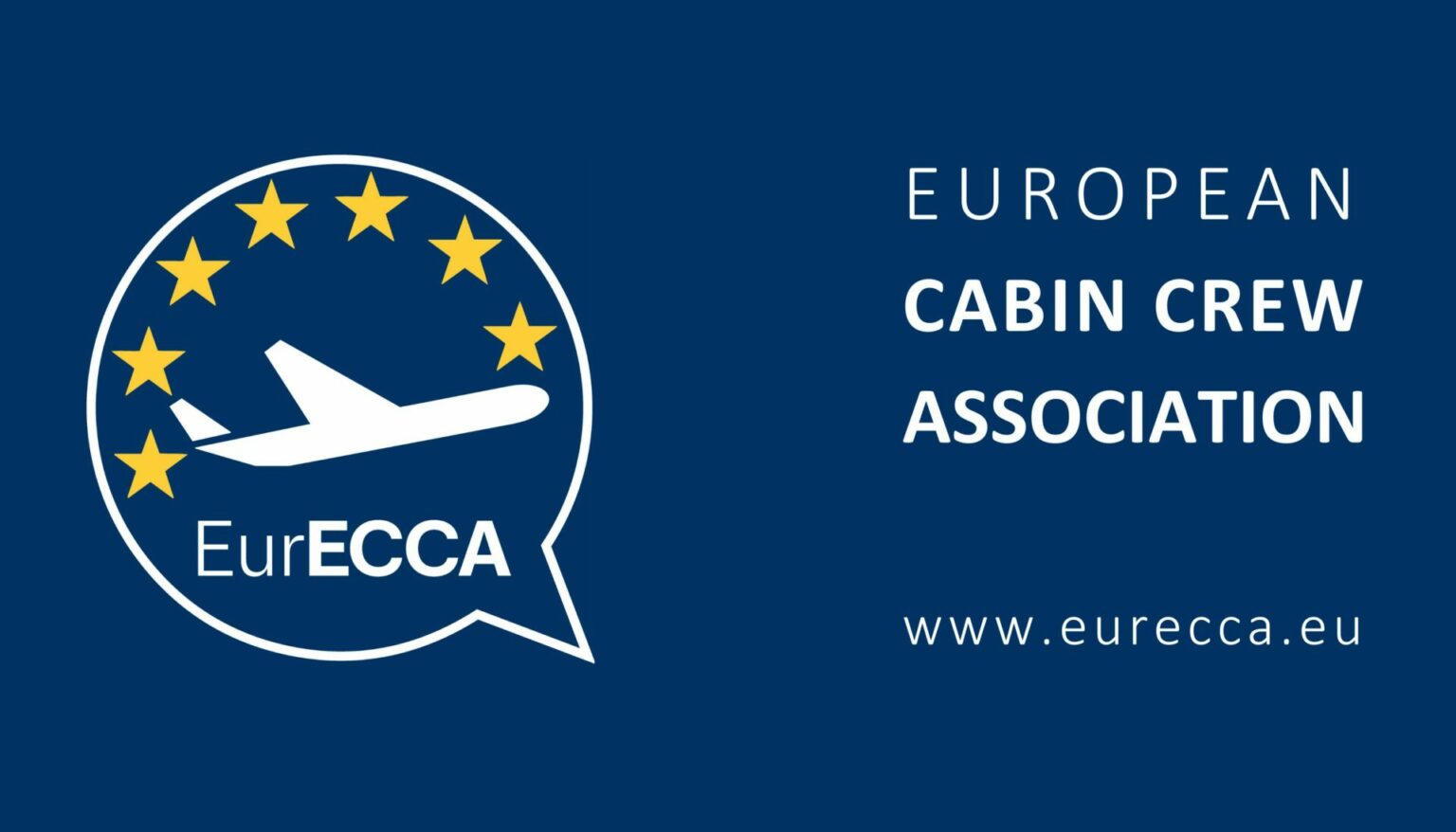 EurECCA Position Paper on the Sustainable Transport Investment Plan ...